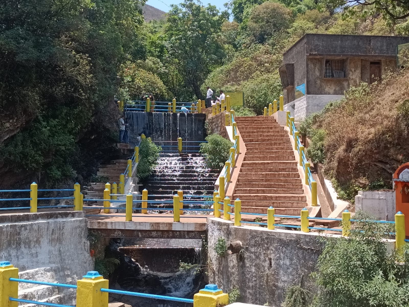 Honnamma Falls: ಬರಗಾಲದಲ್ಲೂ ಬತ್ತದ ಕಾಫಿನಾಡಿನ ಹೊನ್ನಮ್ಮ ಹಳ್ಳ; ಇಲ್ಲಿನ ಮಿನಿ ...
