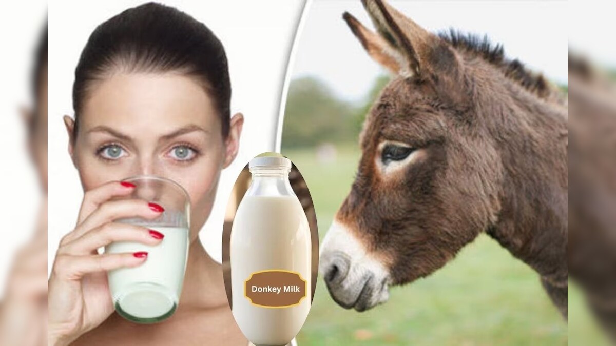 Donkey Milk: ಸರ್ಕಾರಿ ಕೆಲಸಕ್ಕಾಗಿ ಹುಡುಕಾಟ, ಖಾಸಗಿ ಕೆಲಸದಿಂದ ಸಿಗದ ತೃಪ್ತಿ ...
