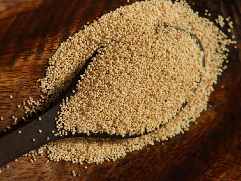 Poppy Seeds: ಗಸಗಸೆ ಬೀಜದಲ್ಲಿದೆ ಅದ್ಭುತ ಆರೋಗ್ಯ ಪ್ರಯೋಜನಗಳು; ಪಾಯಸ ಮಾಡಿ ದಿನಾ ...