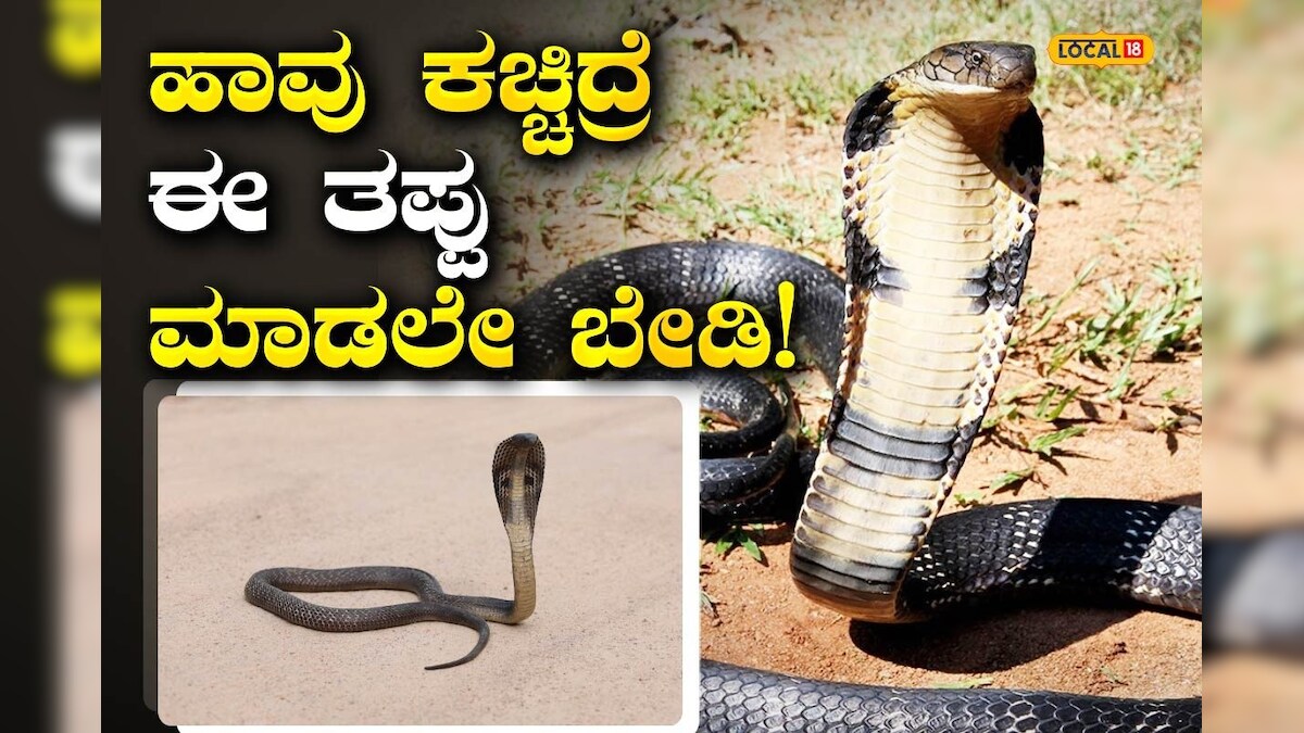 Uttara Kannada News: ಹಾವು ಕಡಿದಾಗ ಪ್ರಥಮ ಚಿಕಿತ್ಸೆ ನೆಪದಲ್ಲಿ ಈ ತಪ್ಪುಗಳನ್ನು ...