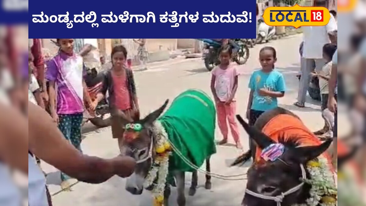 Donkey Marriage: ಮಂಡ್ಯದಲ್ಲಿ ಮಳೆಗಾಗಿ ಕತ್ತೆಗಳ ಮದುವೆ ಮಾಡಿದ ಜನ! | People ...