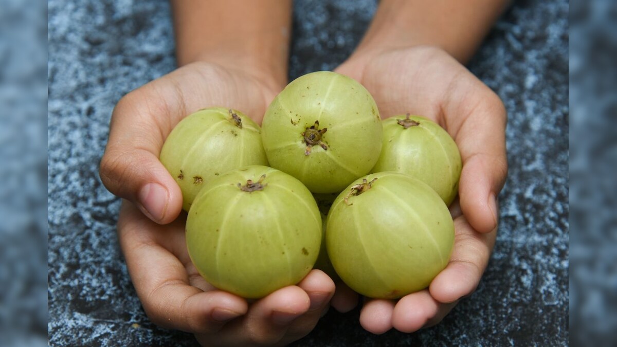 Gooseberry Benefits: ಬೇಸಿಗೆಯಲ್ಲಿ ಡೈಲಿ ನೆಲ್ಲಿಕಾಯಿ ತಿನ್ನಿ, ಆಮೇಲೆ ಆಗೋ ...