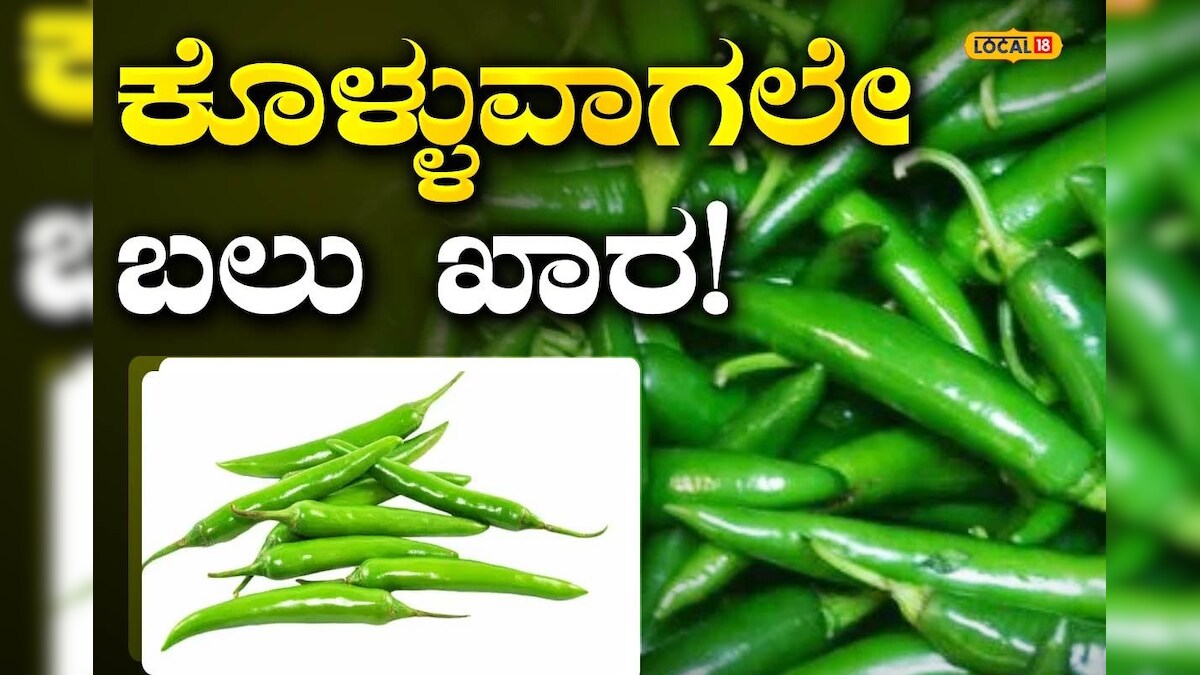 Chilli Rate: ಗಗನಕ್ಕೇರಿದ ಹಸಿ ಮೆಣಸಿನಕಾಯಿ ರೇಟ್! | From the intensity of ...