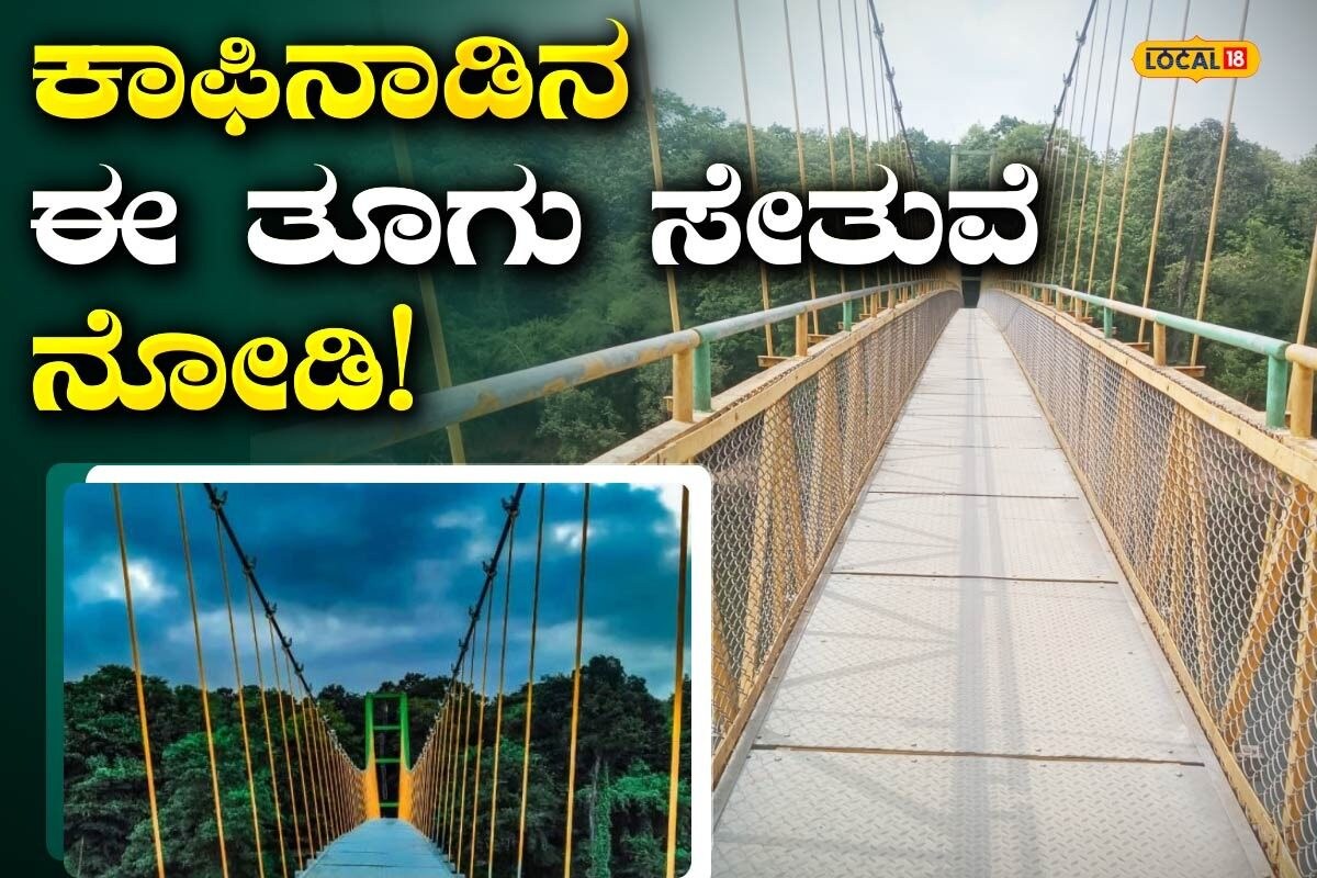 Hanging Bridge: ಖಾಂಡ್ಯದಲ್ಲಿದೆ ತೂಗು ಸೇತುವೆ; ಪ್ರೀ ವೆಡ್ಡಿಂಗ್‌, ಫೋಟೋಶೂಟ್‌ಗೆ ...