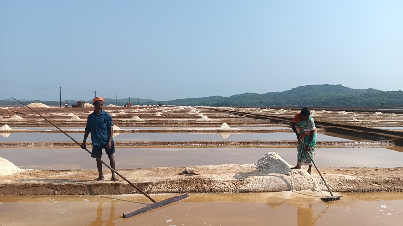 Uttara Kannada News: ಗಂಡ-ಹೆಂಡತಿ ಜೋಡಿಯಾಗಿ ಉಪ್ಪು ತೆಗೆಯುವುದೇ ಇಲ್ಲಿ ರೂಢಿ ...