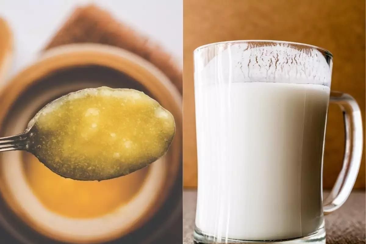 ಹಾಲಿಗೆ ತುಪ್ಪ ಬೆರೆಸಿ ಕುಡಿದ್ರೆ ಎಷ್ಟೆಲ್ಲಾ ಆರೋಗ್ಯ ಲಾಭಗಳಿದೆ ಗೊತ್ತಾ? | The ...