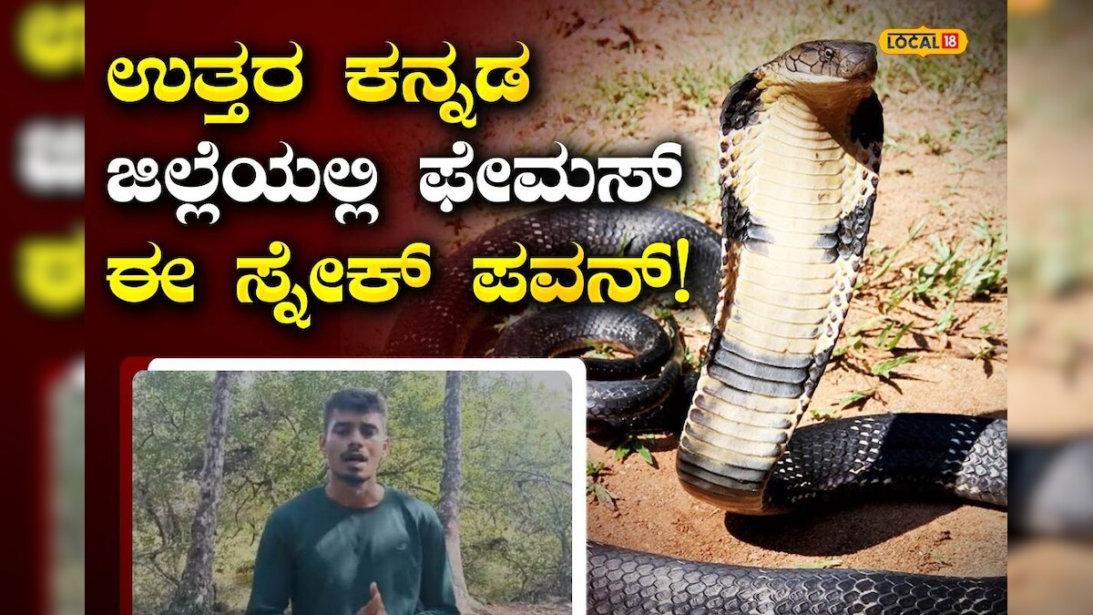 Snake Facts: ಜನವಸತಿ ಪ್ರದೇಶಕ್ಕೆ ಬಂದ ಹಾವುಗಳ ರಕ್ಷಣೆ ಮಾಡುವ ಸ್ನೇಕ್ ಪವನ್ ...