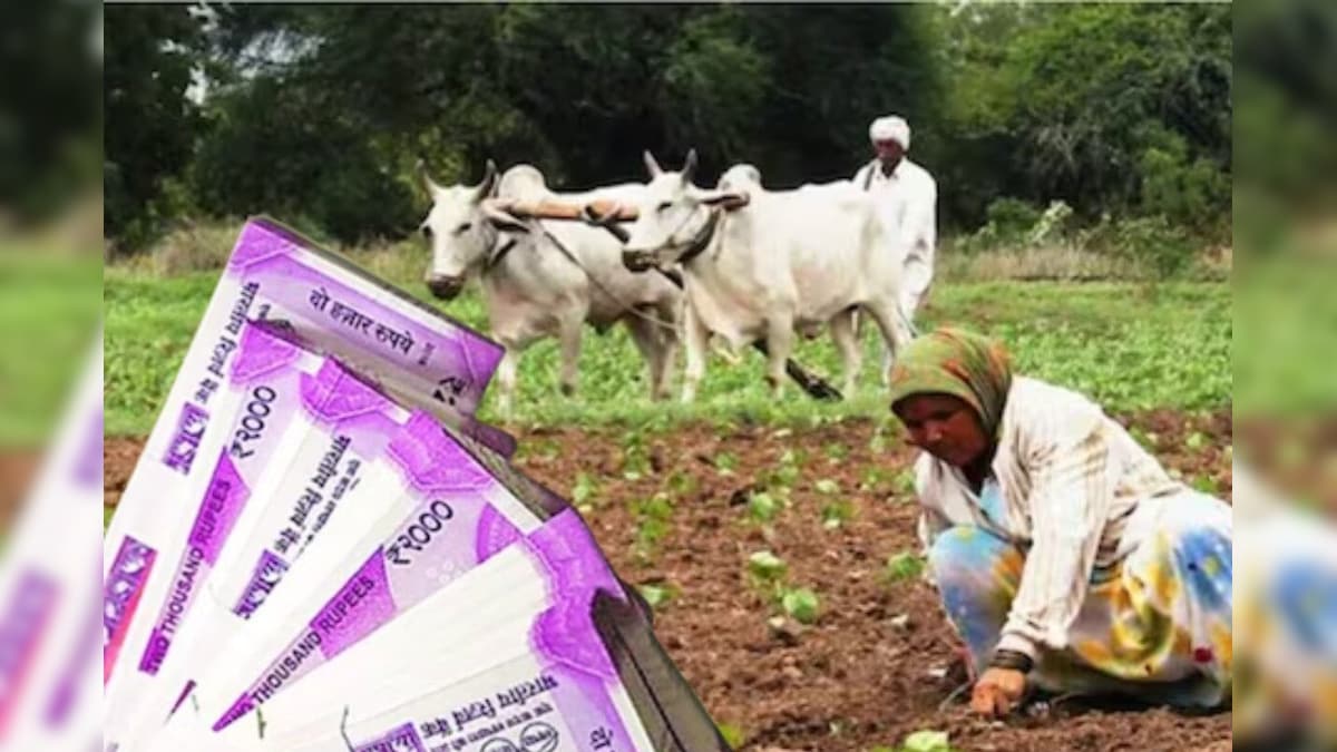 Farmers Subsidy: ಕೃಷಿಕರೇ ಗಮನಿಸಿ, ಈ ಯೋಜನೆಗಳ ಸಬ್ಸಿಡಿ ಪಡೆಯಲು ಈಗಲೇ ಅರ್ಜಿ ...