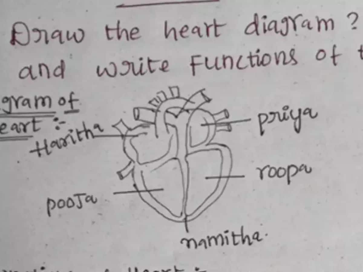 ಹೃದಯದ ಚಿತ್ರ ಬಿಡಿಸಿ ಭಾಗಗಳನ್ನ ಗುರುತಿಸಿ ಅಂದ್ರೆ ಹೀಗಾ ಗುರುತಿಸೋದು? ವೈರಲ್ ...