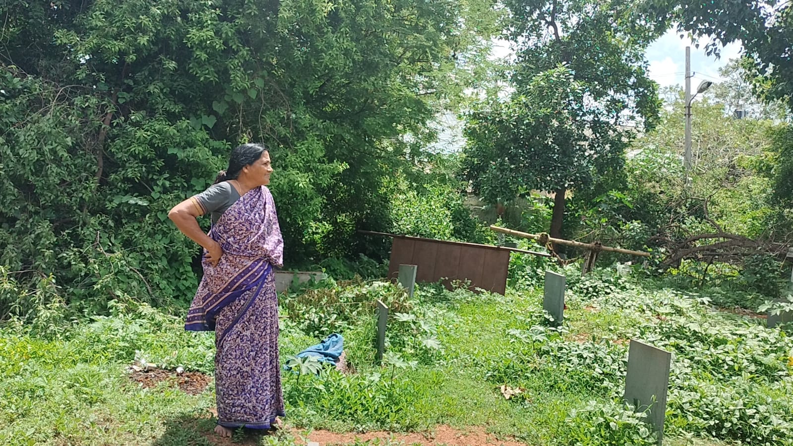 Mysuru News: 20 ವರ್ಷಗಳಿಂದ ಸ್ಮಶಾನ ಭೂಮಿಯಲ್ಲೇ ಬದುಕು; ಈ ಮಹಿಳೆಗೆ ರುದ್ರಭೂಮಿಯೇ ಎಲ್ಲವೂ! | Mysuru a woman ...