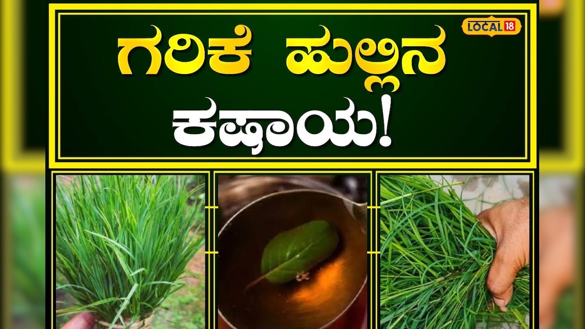 Garike Kashaya: ಮಳೆಗಾಲದ ಶೀತವನ್ನು ಕ್ಷಣಮಾತ್ರದಲ್ಲಿ ಶಮನ ಮಾಡುತ್ತೆ ಗರಿಕೆ ಕಷಾಯ ...