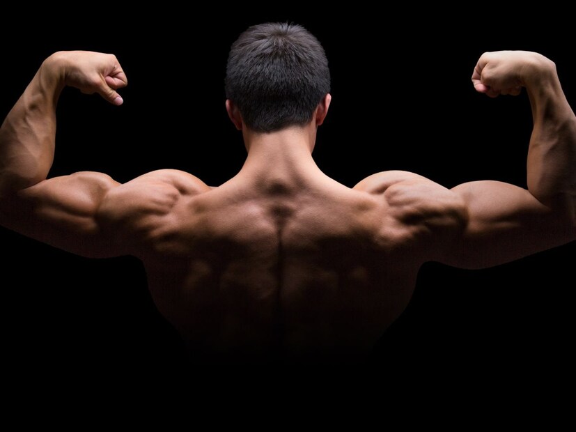 ನಿಮ್ಮ ತೋಳುಗಳು ತೊಲೆಯಂತಾಗಬೇಕಾ? ಹಾಗಾದ್ರೆ ಪ್ರತಿದಿನ ಈ ಆಹಾರಗಳನ್ನು ತಿನ್ನಿ! | 5 ...