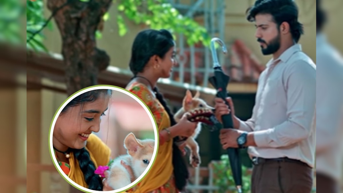 Bhoomika Ramesh: ಲಕ್ಷ್ಮಿ ಬಾರಮ್ಮ ನಟಿಯ ಹೊಸ ಸೀರಿಯಲ್! ತೆಲುಗಿನ ಮೇಘ ...