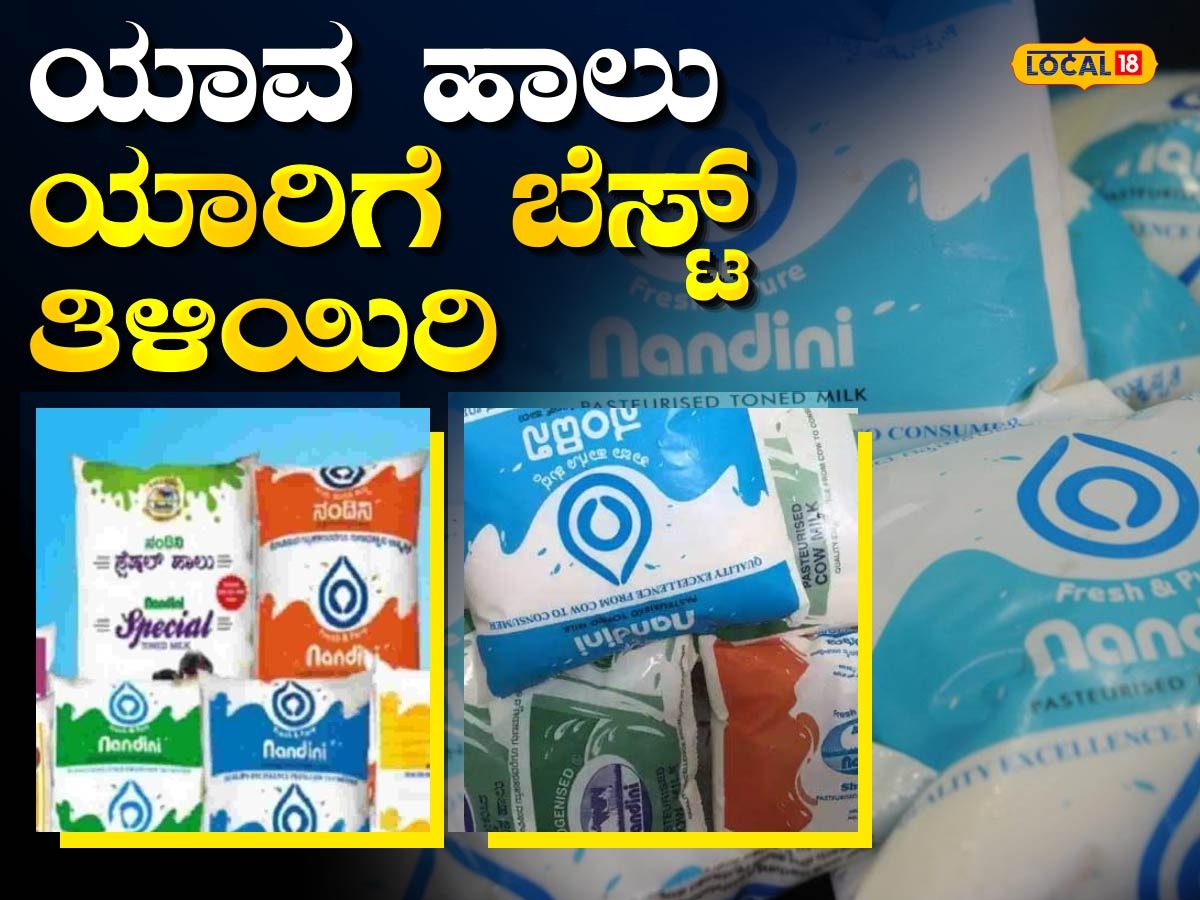 KMF Nandini Milk: ನಂದಿನಿ ಯಾವ ಬಣ್ಣದ ಪ್ಯಾಕೆಟ್‌ ಹಾಲನ್ನು ಯಾವುದಕ್ಕೆ ...