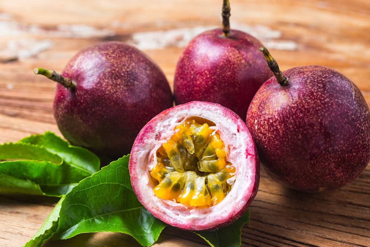 Passion Fruit: ಈ ಶ್ರೀ ಕೃಷ್ಣ ಫಲ ಸಿಕ್ಕರೆ ಬಿಡಬೇಡಿ; ಇದರ ಸೇವನೆಯಿಂದ ಅದ್ಭುತಗಳೇ ...