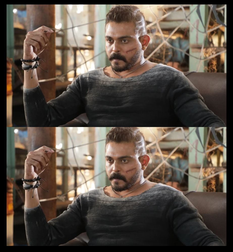 Kannada Actor: ಜನರಷ್ಟೇ ಅಲ್ಲ, ಕನ್ನಡ ಕಲಾವಿದರೇ ಕನ್ನಡ ಸಿನಿಮಾ ನೋಡ್ತಿಲ್ಲ ...