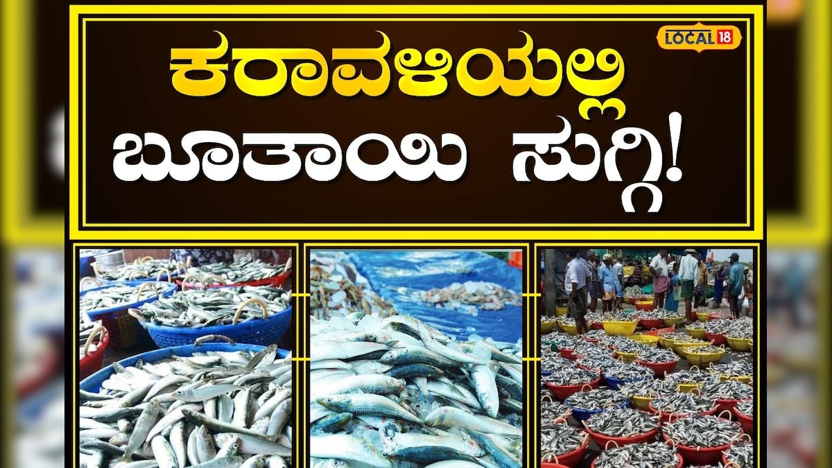 Fishing: ಮೀನುಗಾರಿಕಾ ಋತು ಆರಂಭದಲ್ಲೇ ಬೂತಾಯಿ ಸುಗ್ಗಿ; ಕರಾವಳಿಯ ಮತ್ಸ್ಯಪ್ರಿಯರು ...