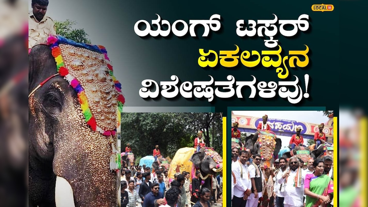 Ekalavya Elephant: ಕಬ್ಬು-ಭತ್ತ ಕದ್ದು ತಿನ್ನಲು ಬಂದವನು ಇಂದು ದಸರಾ ಸ್ಟಾರ್ ...