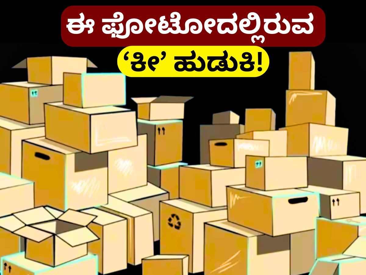 Mind Game: ಈ ಫೋಟೋದಲ್ಲಿ ಅಡಗಿರುವ Key ಹುಡುಕಿ! ಜಸ್ಟ್ 5 ಸೆಕೆಂಡ್ಸ್ ಟೈಮ್ ...