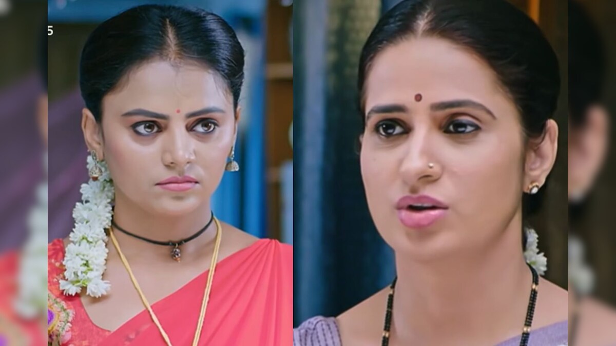 Lakshmi Nivasa veenakka Character Likes By Viewers | Lakshmi Nivasa: ಲಕ್ಷ್ಮೀ ನಿವಾಸದ ಅಚ್ಚು ...