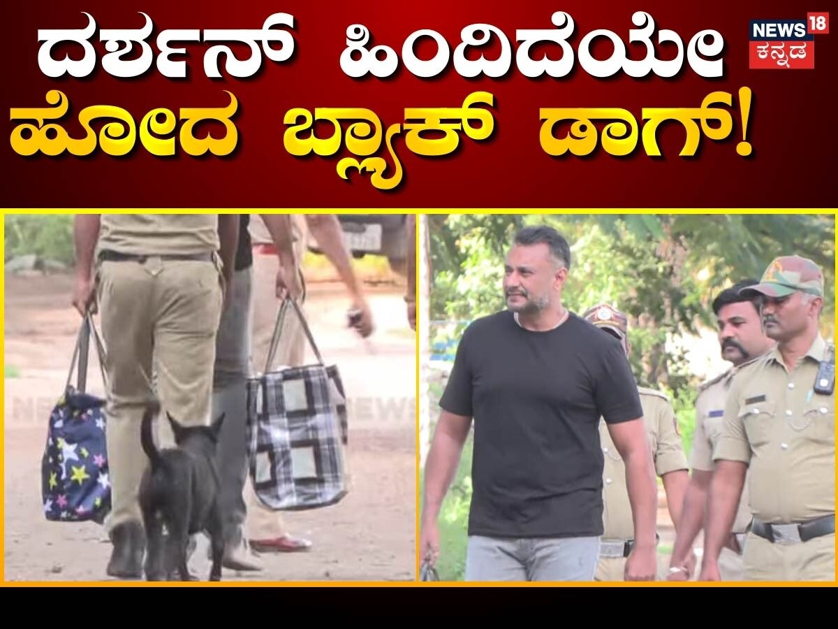 Darshan: ಜೈಲಲ್ಲೂ ಪ್ರಾಣಿ ಪ್ರೀತಿ, ದರ್ಶನ್ ಹಿಂದಿದೆಯೇ ಹೋಗ್ತಿದೆ ಬ್ಲ್ಯಾಕ್ ಡಾಗ್ ...