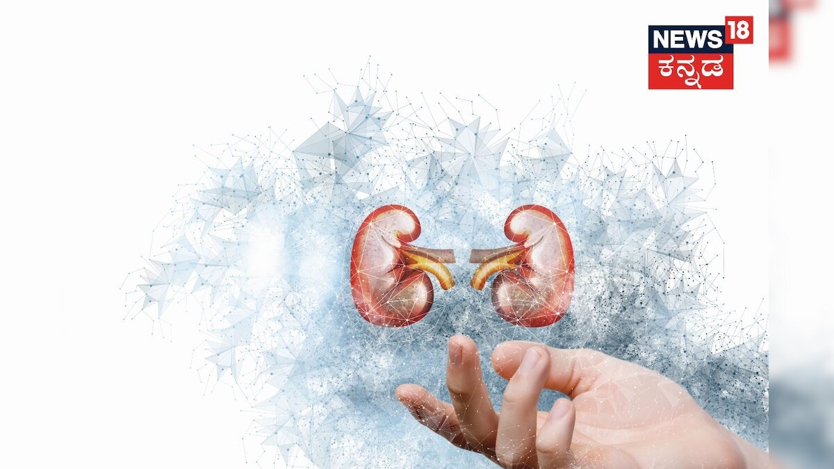 Cleanse Kidney: ಈ 8 ಹಣ್ಣುಗಳು ನಿಮ್ಮ ಕಿಡ್ನಿ ಆರೋಗ್ಯವನ್ನು ಕಾಪಾಡುತ್ತೆ ...