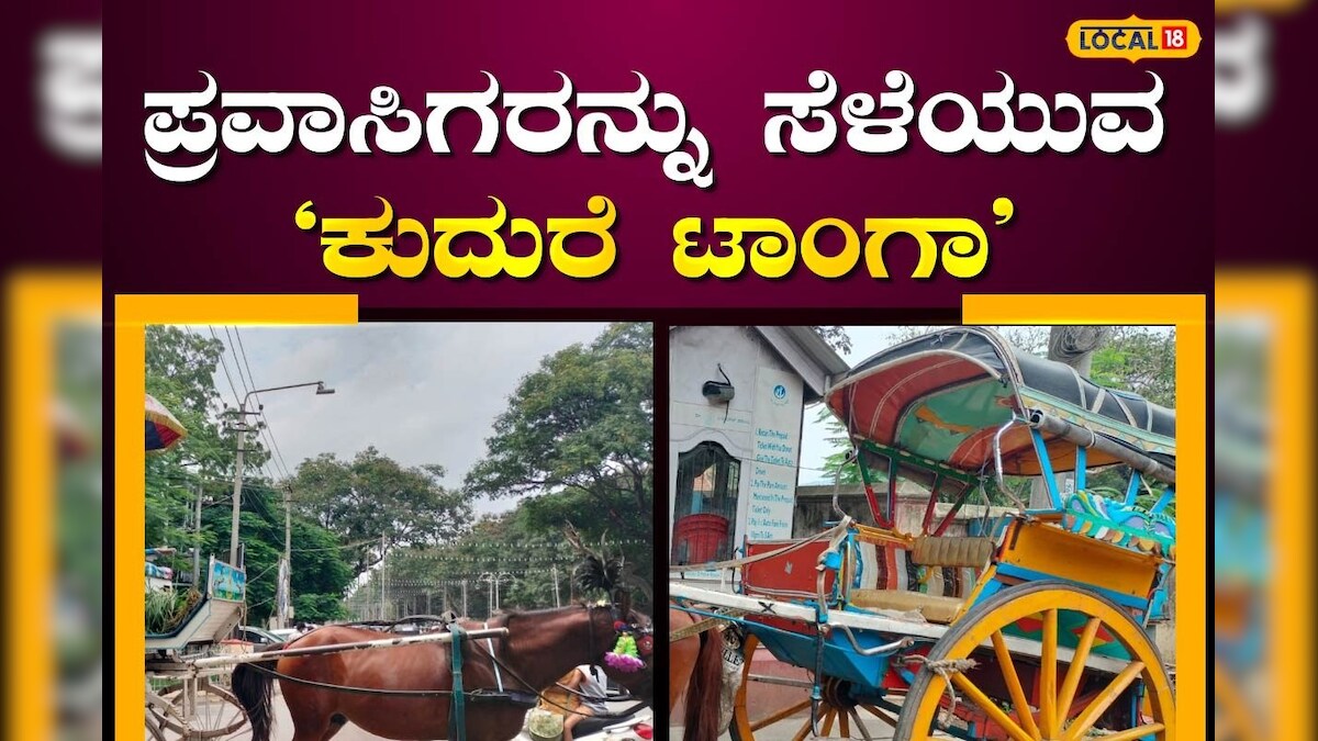 Mysuru Tanga Ride: ಪ್ರವಾಸಿಗರನ್ನು ಆಕರ್ಷಿಸುವ ಟಾಂಗಾ ರೈಡ್; ಮೈಸೂರಲ್ಲಿ ಟಕ್ ...