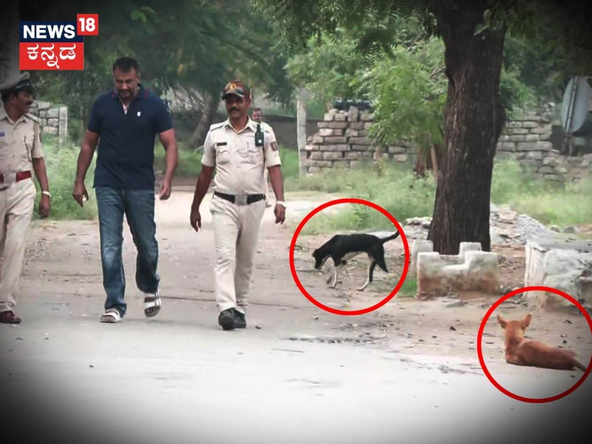 Actor Darshan: ದರ್ಶನ್‌ ರಿಲಿಸ್‌‌ ಆಗ್ತಿದ್ದಂತೆ ಎಲ್ಲರಿಗೂ ಸಂಭ್ರಮ; ಆದರೆ ಈ ...