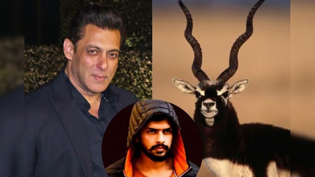 Bishnoi: ಬಿಷ್ಣೋಯ್ ಸಮುದಾಯಕ್ಕೆ ಕೃಷ್ಣ ಮೃಗವೇಕೆ ಪವಿತ್ರ? ಇದು ಇತರ ಜಿಂಕೆಗಳಿಗಿಂತ ...