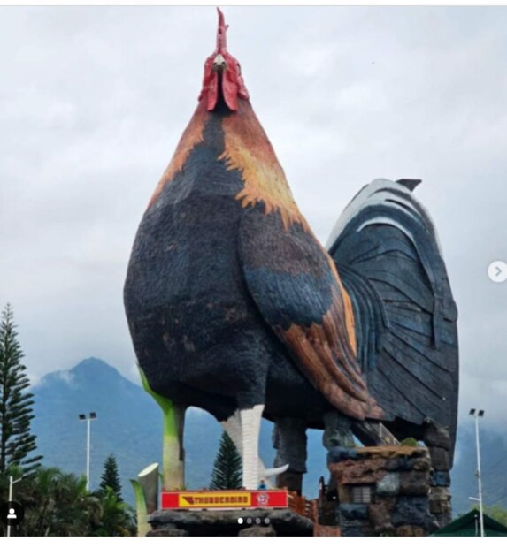 ಇದು ಕೋಳಿಯೂ ಅಲ್ಲ, ಕಲ್ಲಿನ ವಿಗ್ರಹವೂ ಅಲ್ಲ! ತನ್ನ ಲುಕ್‌ನಲ್ಲೇ ಗಿನ್ನಿಸ್‌ ಪುಟ ...
