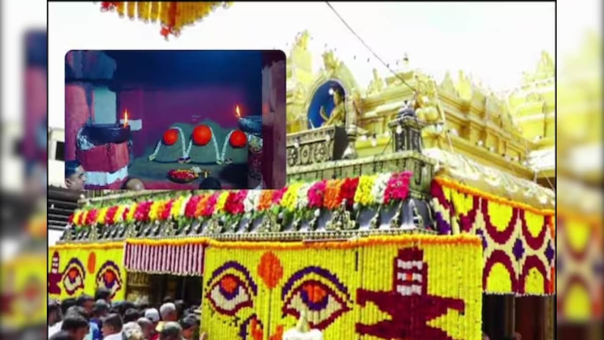 Hasanamba Devi Temple Darshan: ಹಾಸನಾಂಬೆ ದೇವಿ ದರ್ಶನಕ್ಕೆ ಇಂದು ಕೊನೆಯ ದಿನ ...