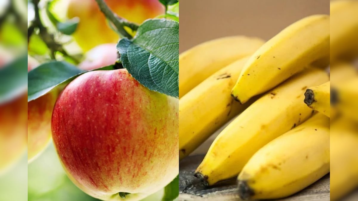 Apple vs. Banana: ವರ್ಕೌಟ್‌ಗೂ ಮುಂಚೆ ಯಾವ ಹಣ್ಣು ತಿಂದ್ರೆ ಲಾಭ? ಇಲ್ಲಿದೆ ನೋಡಿ ...