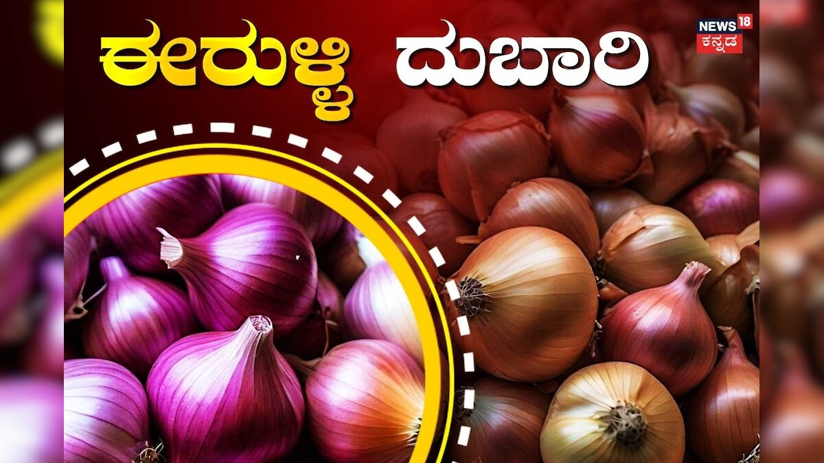 Onion Price: 20-30 ರೂಪಾಯಿಗೆ ಸಿಗ್ತಿದ್ದ ಈರುಳ್ಳಿ ಯಾಕಿಷ್ಟು ದುಬಾರಿ ಆಯ್ತು? ಹೆಚ್ಚುತ್ತಲೇ ಇದೆ ಉಳ್ಳಾಗಡ್ಡಿ ...