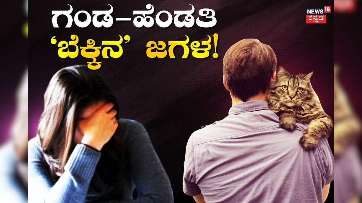 Husband-Wife: ಗಂಡ ಸಾಕಿದ ಬೆಕ್ಕಿನ ಮೇಲೆ ಹೆಂಡತಿಗೆ ಸಿಟ್ಟು! ಡಿವೋರ್ಸ್‌ಗಾಗಿ ಕೋರ್ಟ್ ಮೆಟ್ಟಿಲೇರಿದ ಮಹಿಳೆ ...