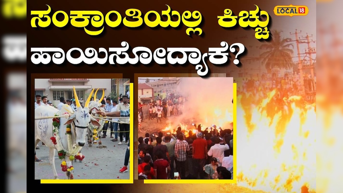 Makara Sankranti 2025: ಸಂಕ್ರಾಂತಿ ಹಬ್ಬದಲ್ಲಿ ರಾಸುಗಳನ್ನು ಕಿಚ್ಚು ಹಾಯಿಸೋದ್ರರ ...