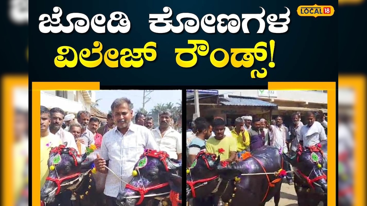 Mandya: ಕೋಟಿ ಬೆಲೆ ಬಾಳುವ ಜೋಡಿ ಕೋಣಗಳ ಭರ್ಜರಿ ರೌಂಡ್ಸ್- ಸೆಲ್ಫಿ ಕ್ಲಿಕ್ಕಿಸಿ ...