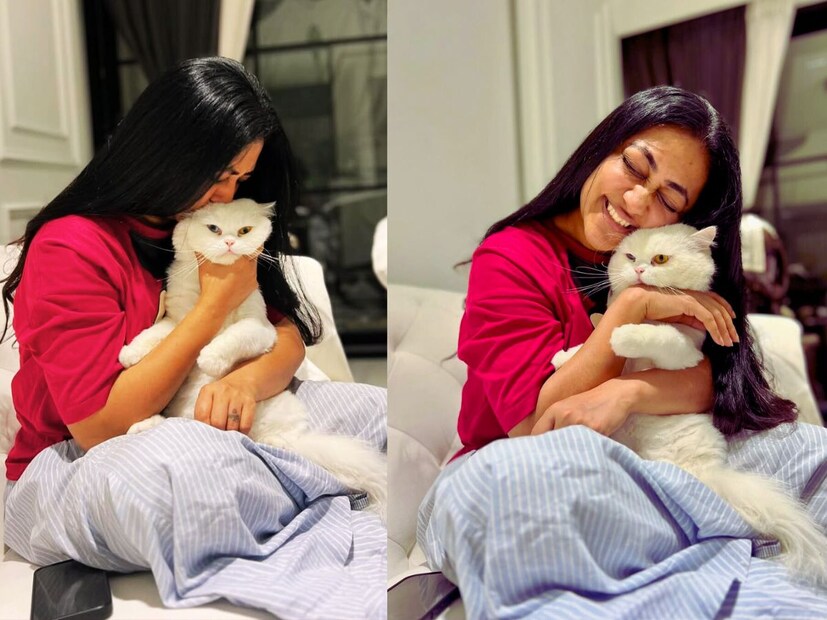 Vijayalakshmi Darshan: ಮುದ್ದಾದ ಬೆಕ್ಕನ್ನು ಎತ್ತಿ ಮುದ್ದಾಡಿದ ವಿಜಯಲಕ್ಷ್ಮಿ ...