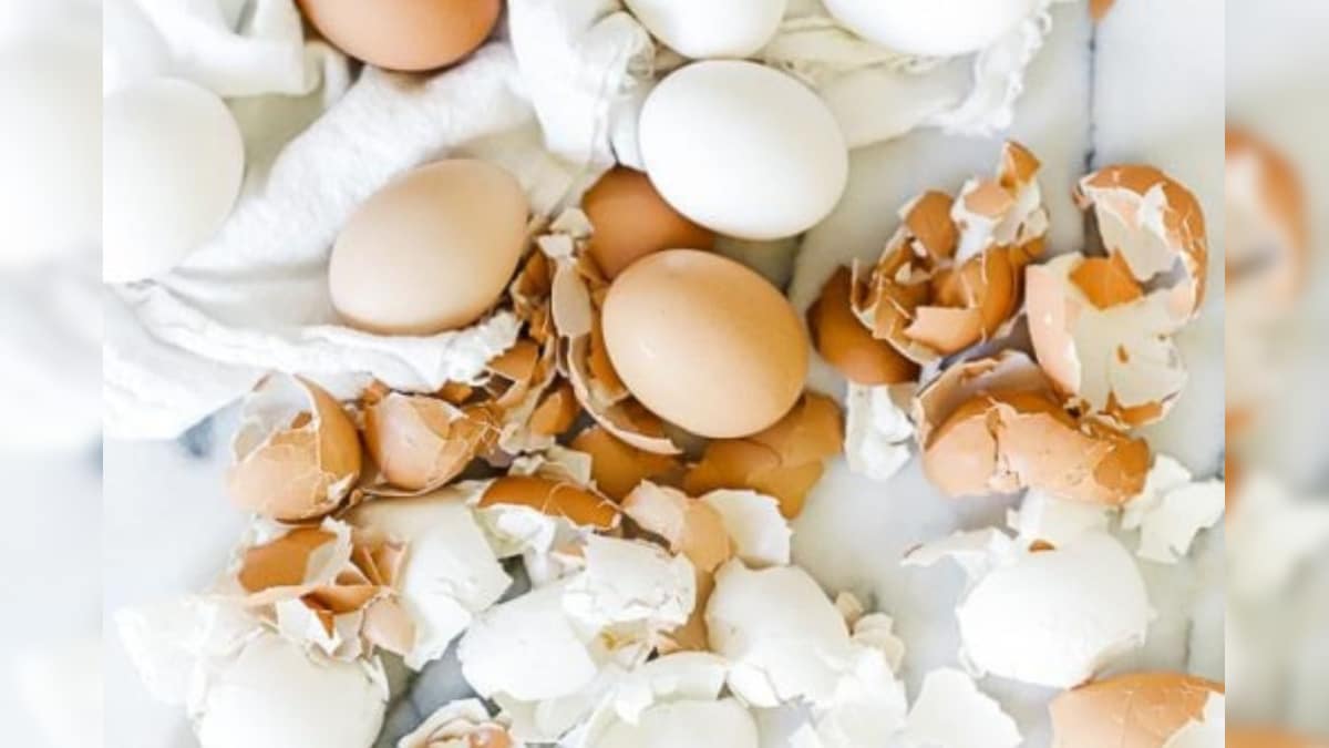 ಮೊಟ್ಟೆಯ ಚಿಪ್ಪು ವೇಸ್ಟ್ ಅಂತ ಡಸ್ಟ್‌ಬೀನ್‌ಗೆ ಎಸೆಯುತ್ತೀರಾ? ಅದರ ಬದಲು ನಿಮ್ಮ ಕೂದಲಿಗೆ ಈ ರೀತಿ ಬಳಸಿ ...