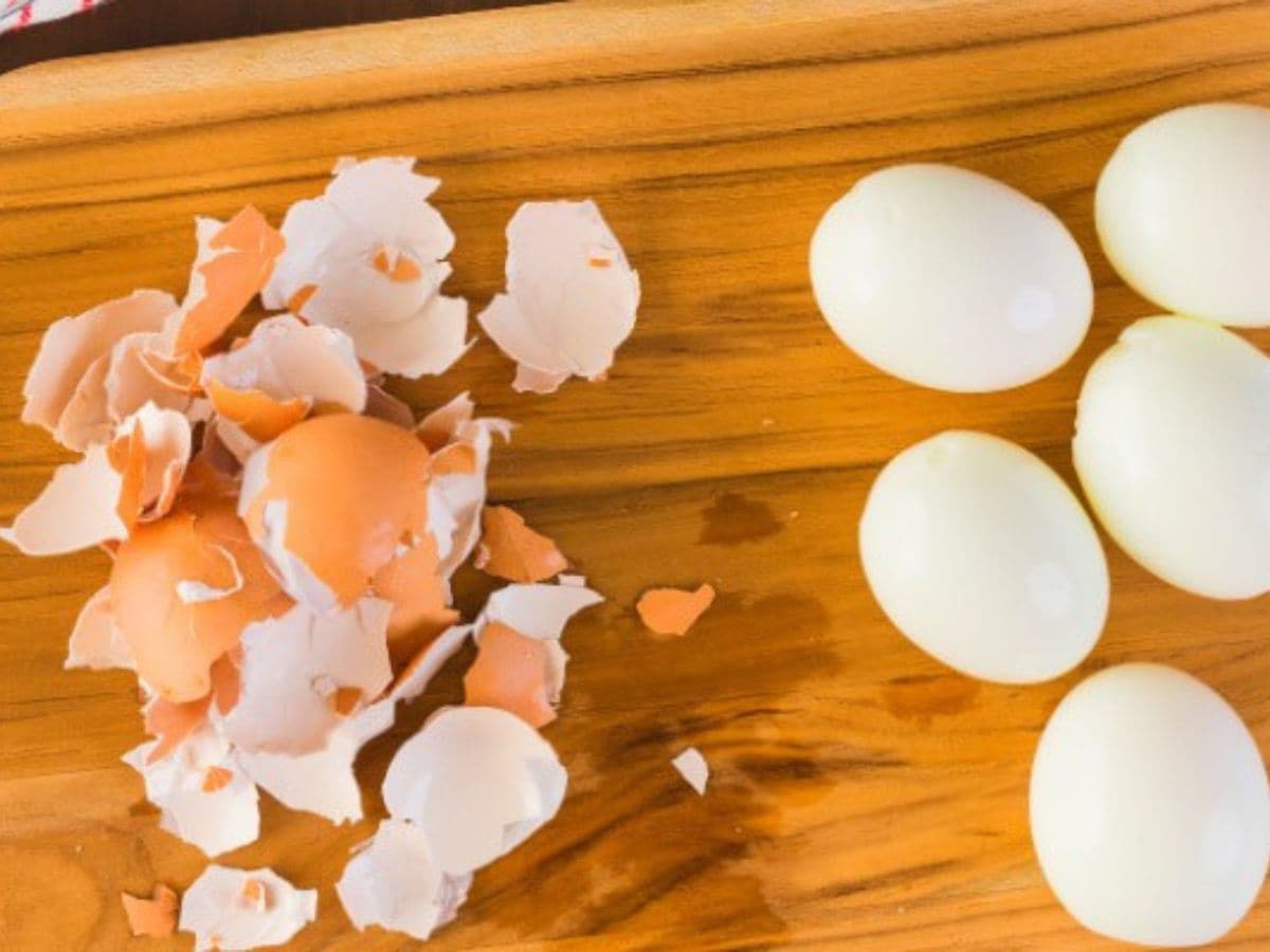 ಮೊಟ್ಟೆಯ ಚಿಪ್ಪು ವೇಸ್ಟ್ ಅಂತ ಡಸ್ಟ್‌ಬೀನ್‌ಗೆ ಎಸೆಯುತ್ತೀರಾ? ಅದರ ಬದಲು ನಿಮ್ಮ ಕೂದಲಿಗೆ ಈ ರೀತಿ ಬಳಸಿ ...