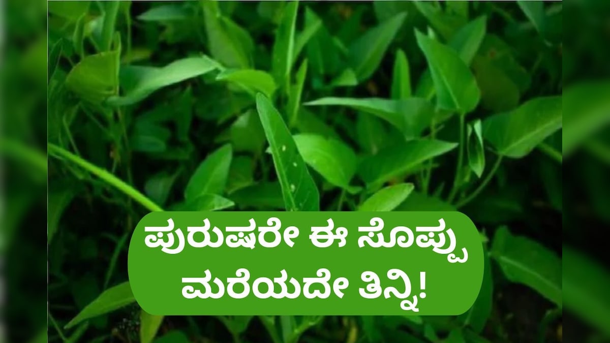 60ರ ಮುಪ್ಪಲ್ಲೂ 20ರ ಯುವಕರ ‘ಯೌವನ’ ಇರಬೇಕಾ? ಇದೊಂದು ಸೊಪ್ಪು ತಿಂದರೆ ಕುದುರೆಬಲ ...