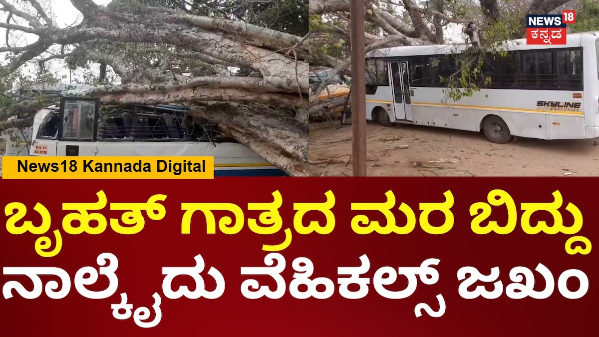 Bengaluru Rains | Tree Falls In Anekal | ಬಿರುಗಾಳಿ ಮಳೆಗೆ ನೆಲಕ್ಕುರುಳಿದ ...