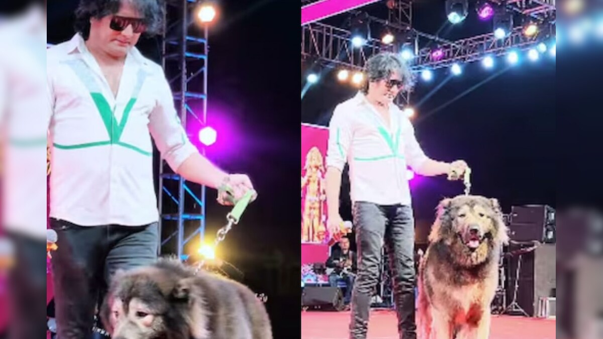 ₹50 ಕೋಟಿ ಕೊಟ್ಟು ದುಬಾರಿ ನಾಯಿ ಖರೀದಿಸಿದ ಬೆಂಗಳೂರಿನ ಡಾಗ್ ಲವರ್! ಯಾರು ಗೊತ್ತಾ ಈ ...