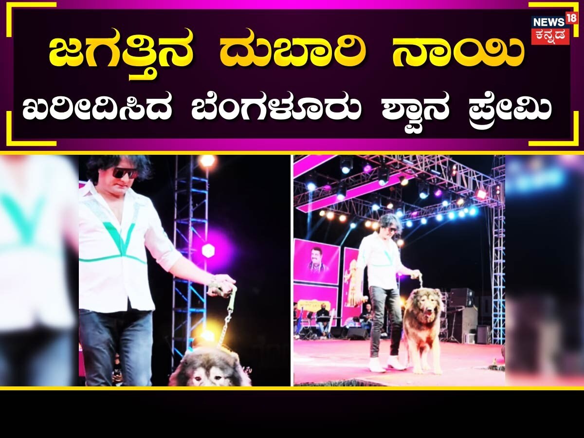 Bengaluru: ಅಬ್ಬಬ್ಬಾ, ಇದು 50 ಕೋಟಿಯ ನಾಯಿ! ಬೆಂಗಳೂರಿನ ಈ ಶ್ವಾನ ಪ್ರೇಮಿ ...
