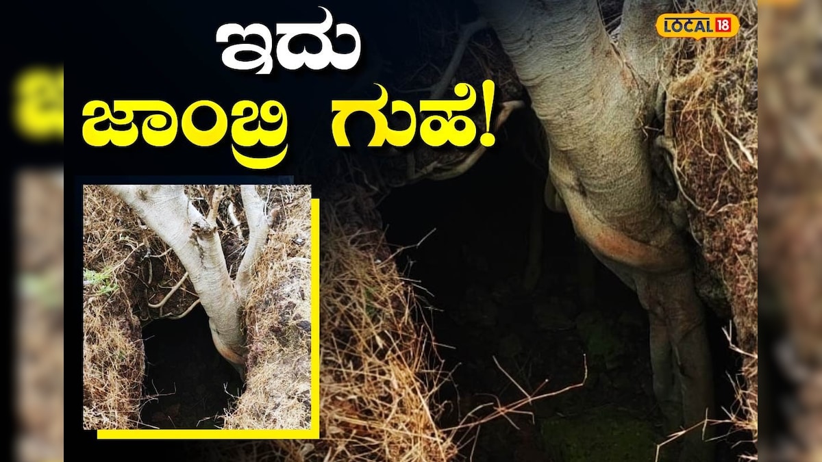 Dakshina Kannada: ಜಾಂಬ್ರಿ ಗುಹಾಲಯದ ಹಿಂದಿದೆ ರೋಚಕ ಕಥೆ! | Dakshina Kannada ...