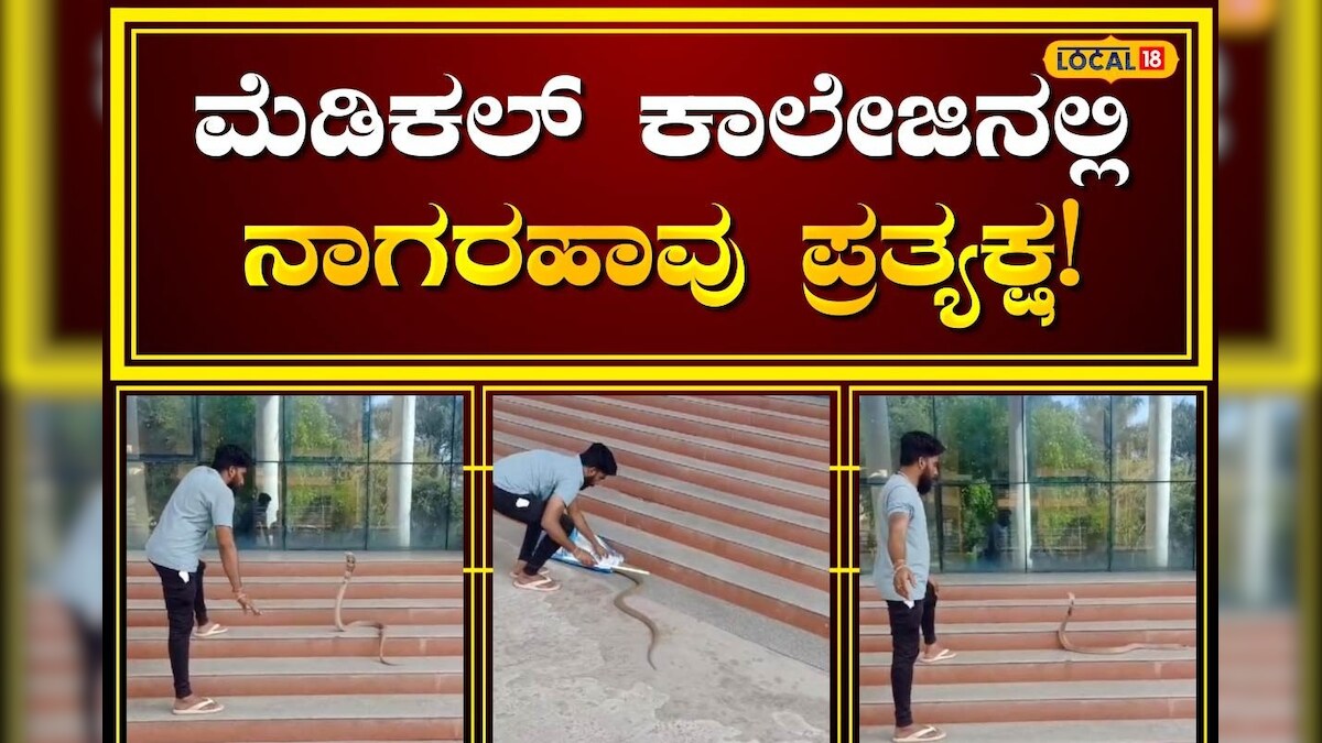 Mandya: ವೈದ್ಯರನ್ನೇ ಬೆಚ್ಚಿ ಬೀಳಿಸಿದ ನಾಗಪ್ಪ!| Snake found in medical ...