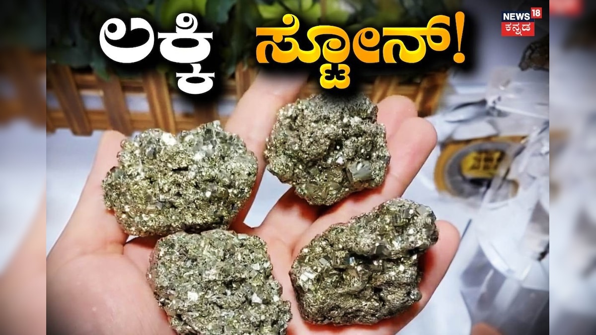Magic Stone: ಈ ಒಂದು ಮ್ಯಾಜಿಕಲ್ ಸ್ಟೋ ನನ್ನು ನಿಮ್ಮ ಮನೆಗೆ ತನ್ನಿ! ಅದೃಷ್ಟ ಒಲಿಯುತ್ತೆ, ಕೋಟಿ ಕೋಟಿ ಹರಿದು ...