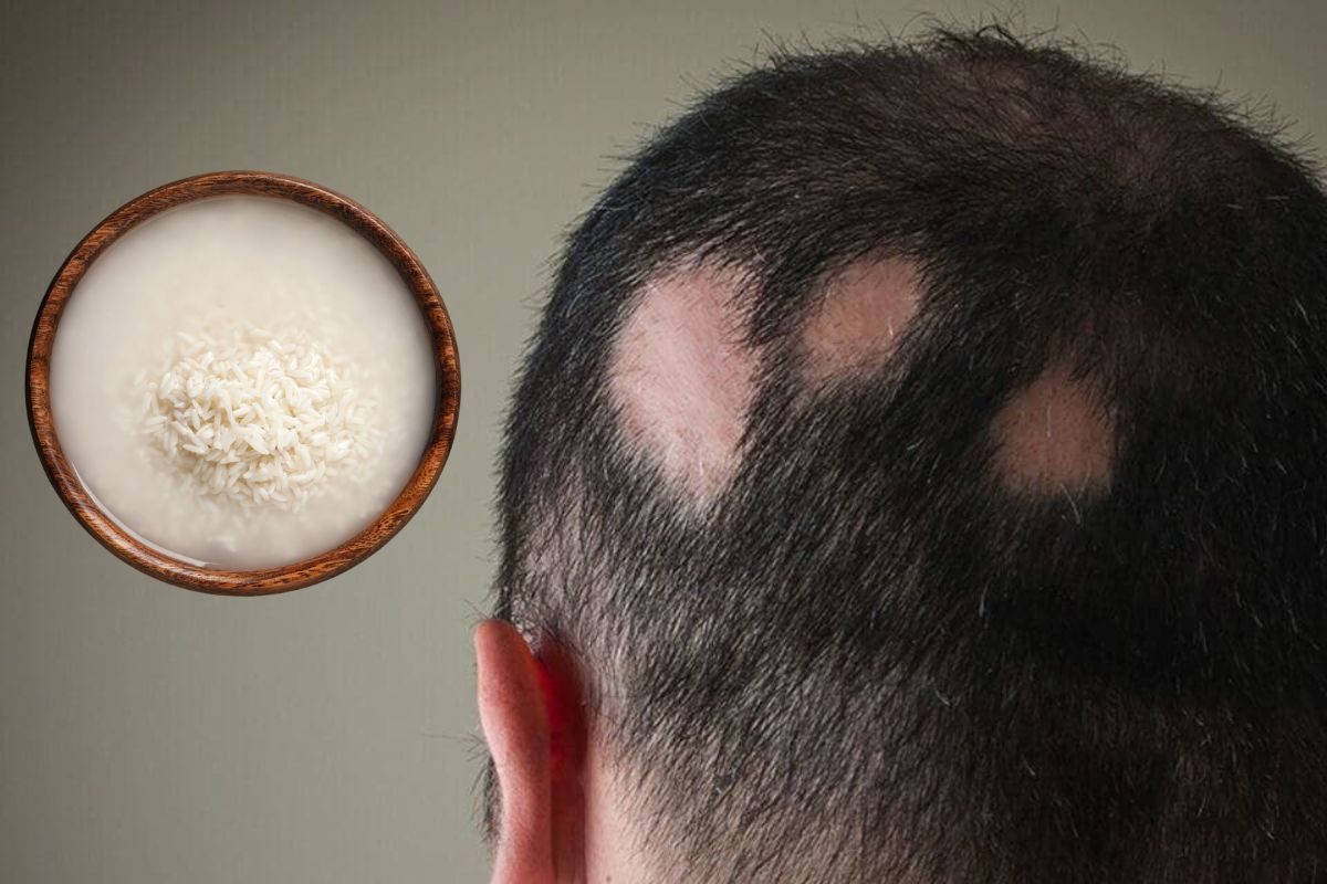 maha shivaratri 2024 special buses from NWKRTC hubballi - News18 ಕನ್ನಡ