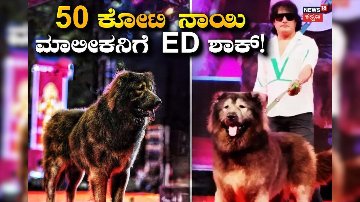 50 ಕೋಟಿ ನಾಯಿ ಮಾಲೀಕನಿಗೆ ಇಡಿ ಶಾಕ್! ಆ ನಾಯಿಯ ನಿಖರವಾದ ಬೆಲೆ ಕೇಳಿ ಅಧಿಕಾರಿಗಳೇ ...