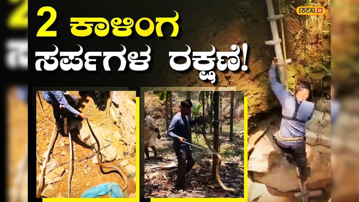 Cobra Rescue: ಎರಡೂವರೆ ಗಂಟೆಯ ನಿರಂತರ ಕಾರ್ಯಾಚರಣೆ- ಬಾವಿಯಲ್ಲಿ ಅವಿತಿದ್ದ 2 ...
