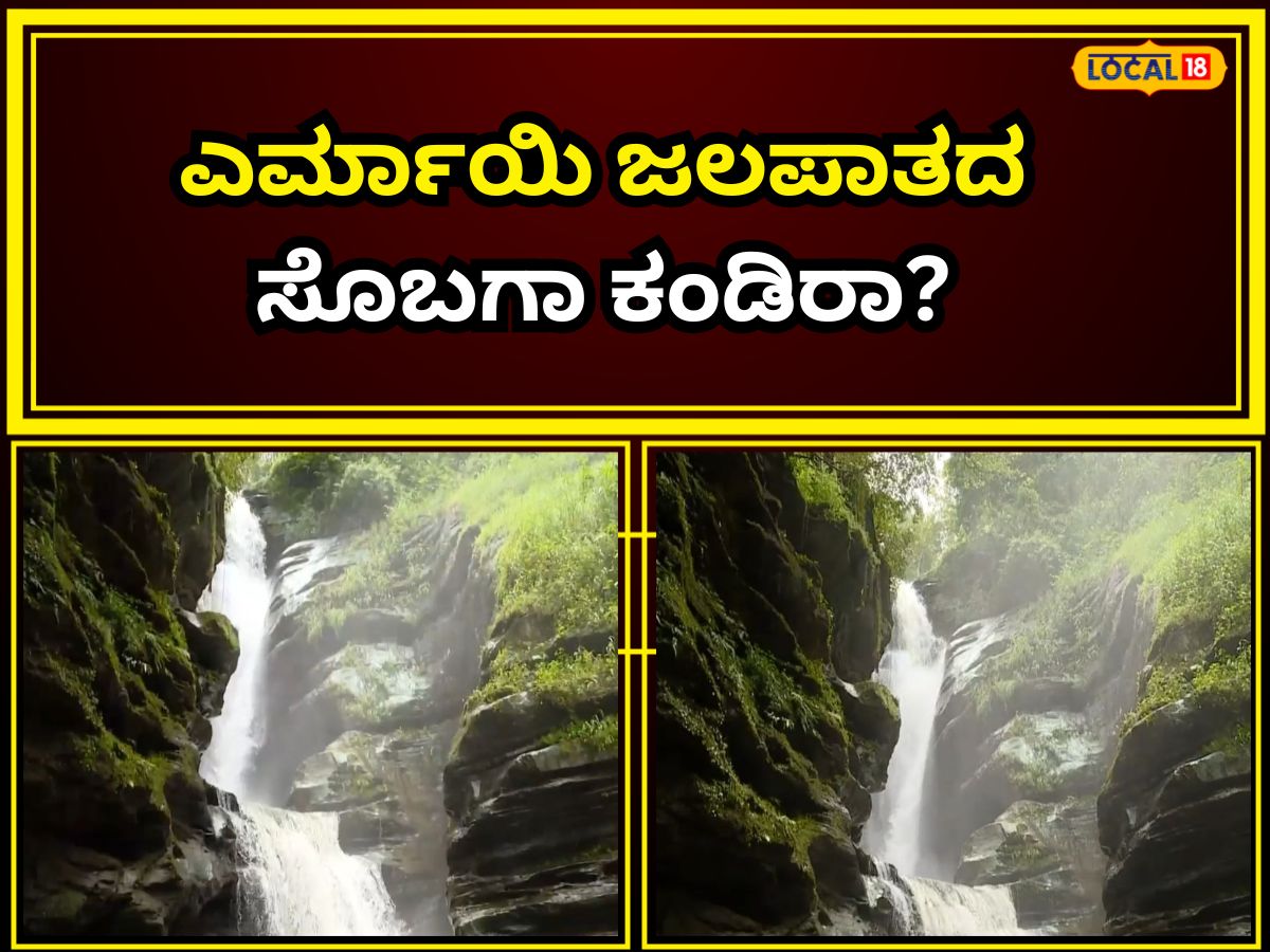 Dakshina Kannada: ಮಳೆಗಾಲ ಶುರುವಾದ್ಮೇಲೆ ಎರ್ಮಾಯಿ ಜಲಪಾತಕ್ಕೆ ಒಮ್ಮೆಯಾದ್ರೂ ...